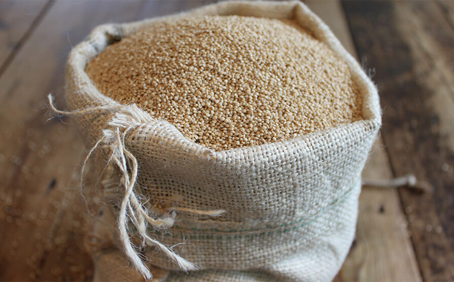 Quinoa NZ | Buy Online | Kiwi Quinoa